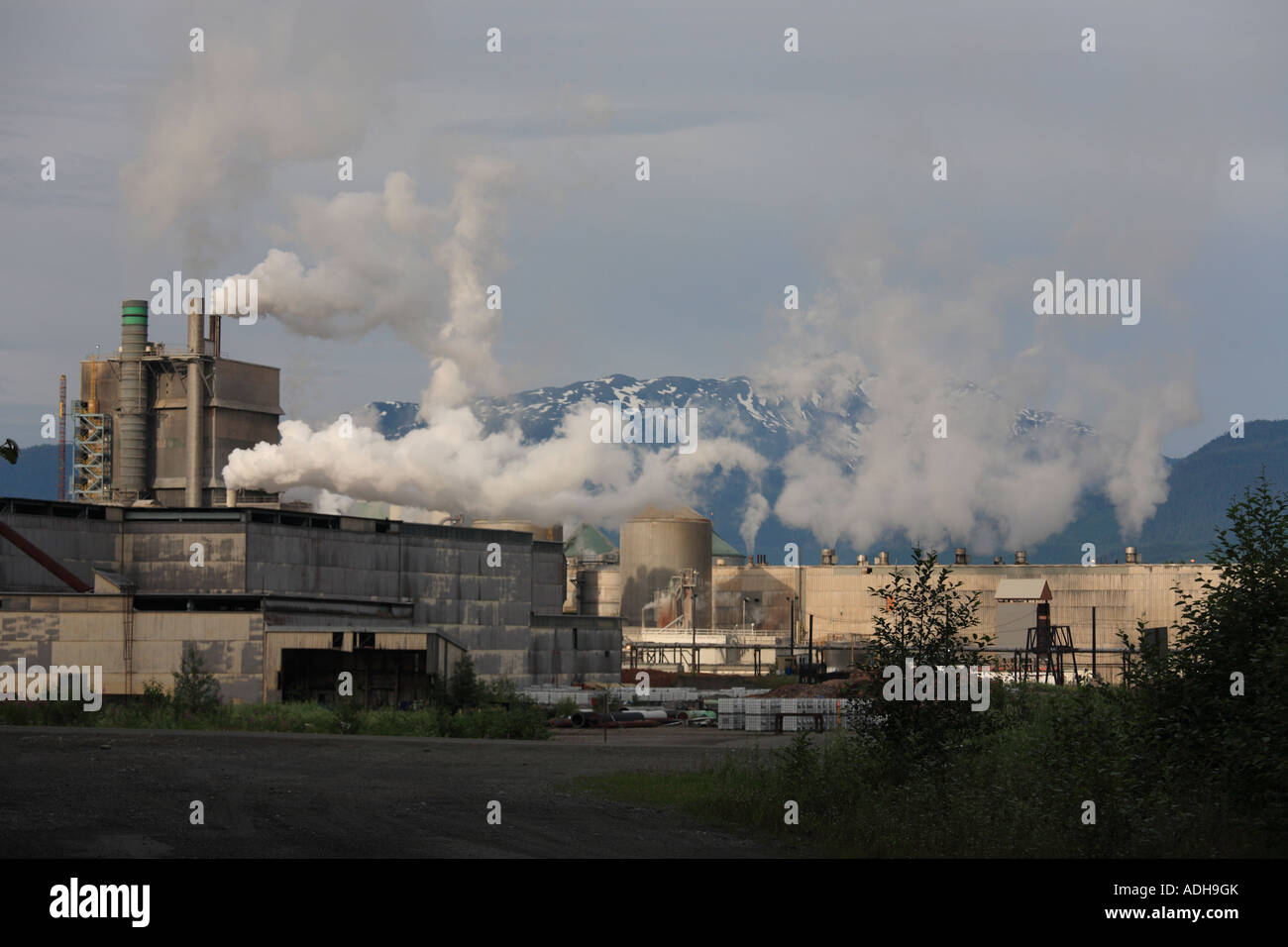 Eurocan Pulp and Paper mill Kitimat British Columbia Stock Photo - Alamy