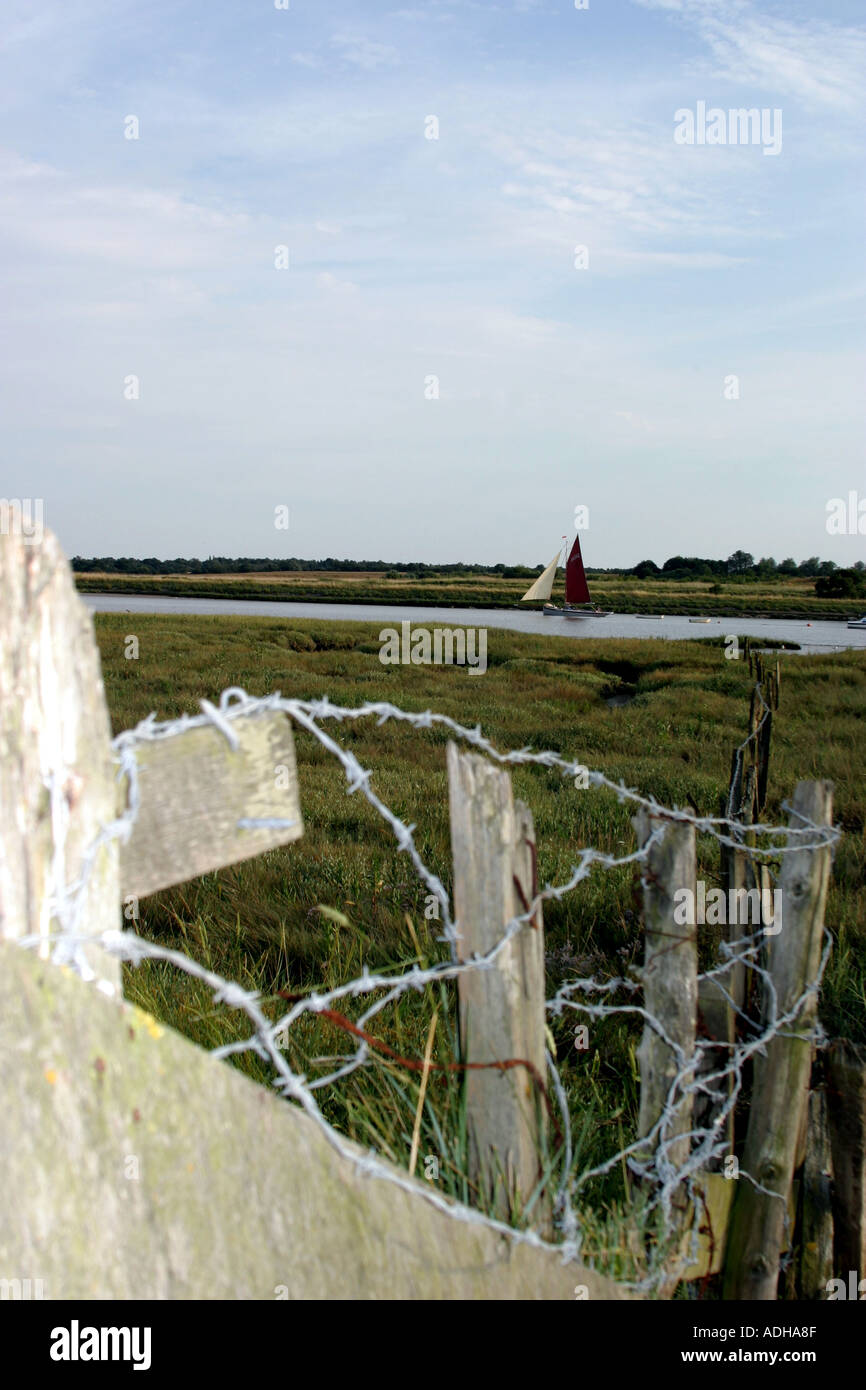 Boating scene at River Colne Wivenhoe Essex UK Stock Photo - Alamy