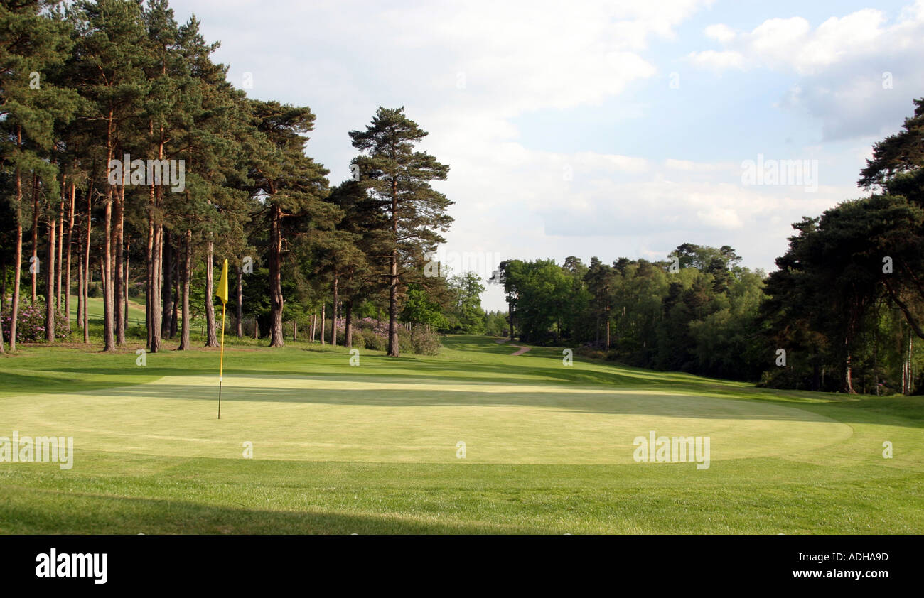 Bernard hunt course hi-res stock photography and images - Alamy