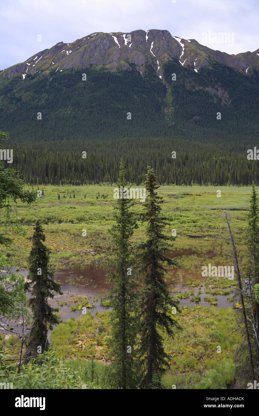 Iskut hi-res stock photography and images - Alamy