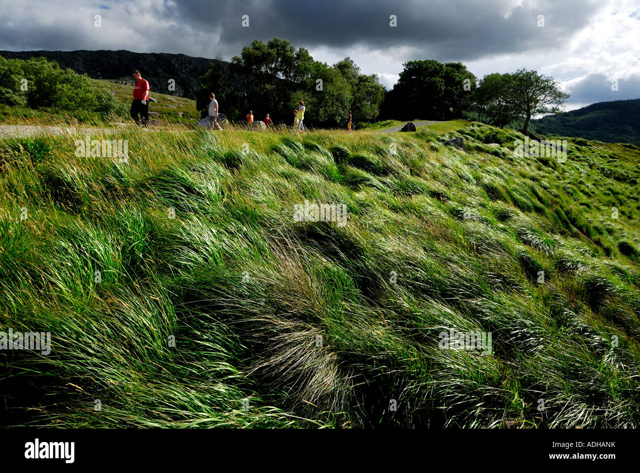Killarney, Co. Kerry, Ireland Stock Photo - Alamy