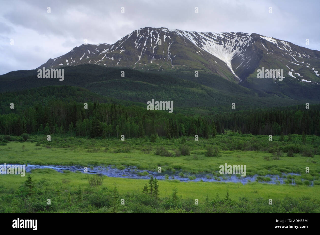 Tsatia mountain near Iskut British Columbia Stock Photo - Alamy