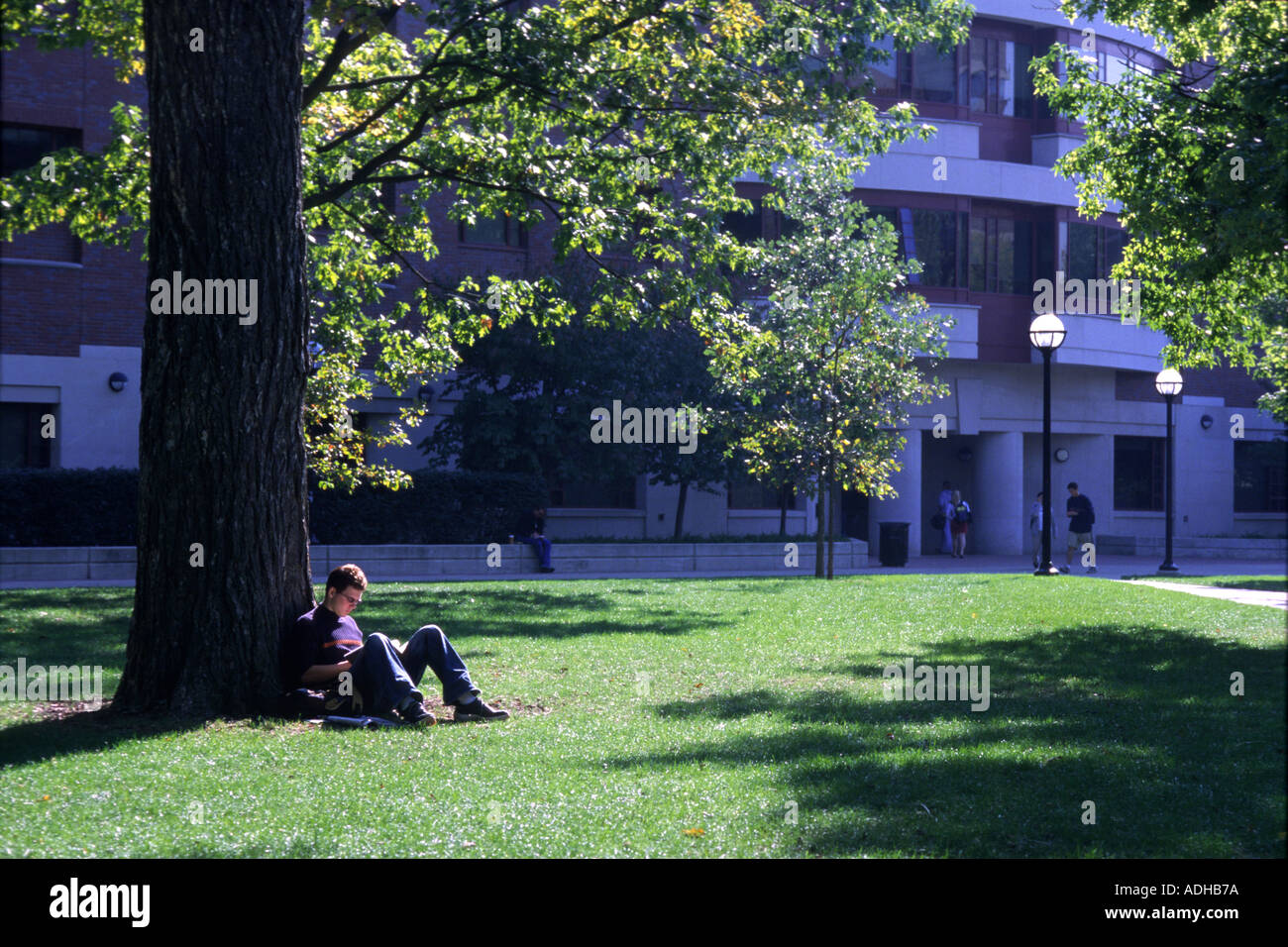 Students studying under tree hi-res stock photography and images - Alamy