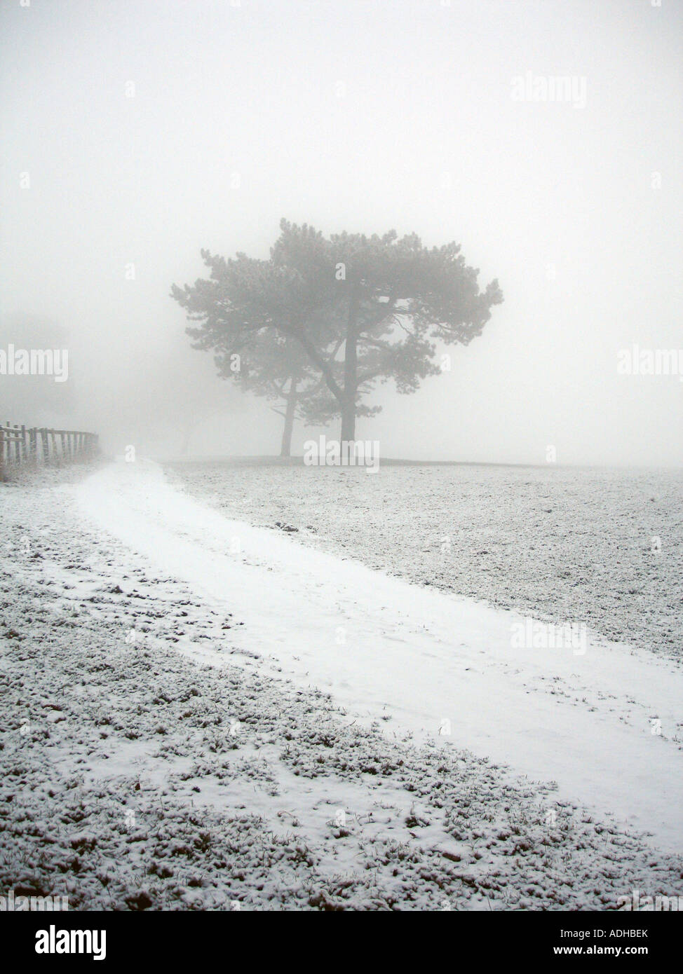 British winter landscape with fog Stock Photo - Alamy