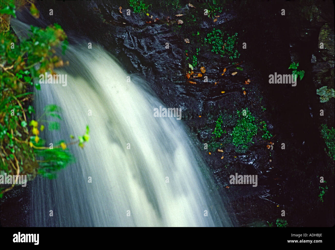 Flood of knowledge hi-res stock photography and images - Alamy