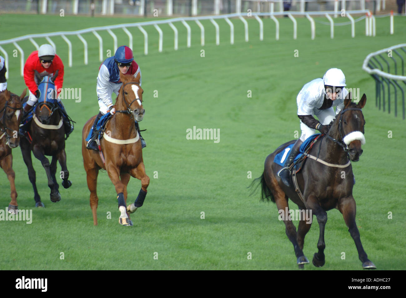 Horseracing cheltenham hi-res stock photography and images - Alamy