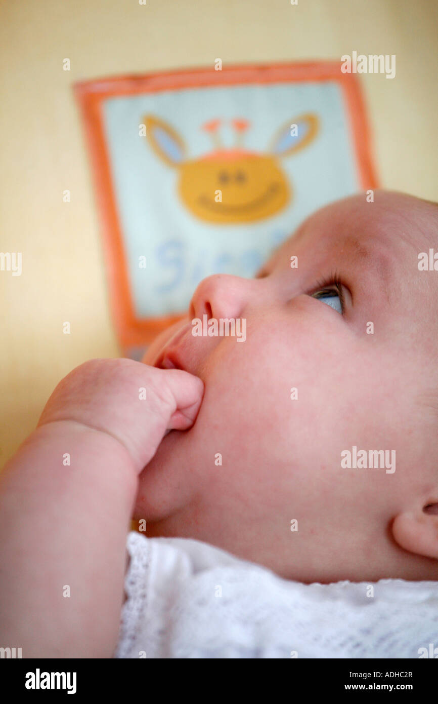 Baby up model released hi-res stock photography and images - Alamy