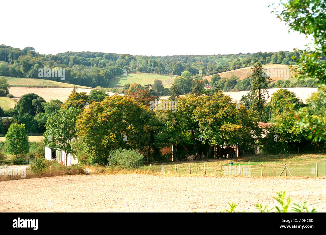 English Countryside scene of many films and TV shows Stock Photo - Alamy