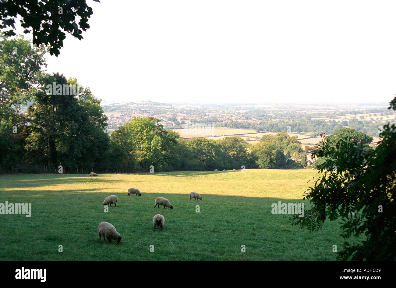 Classic English countryside scene Stock Photo - Alamy