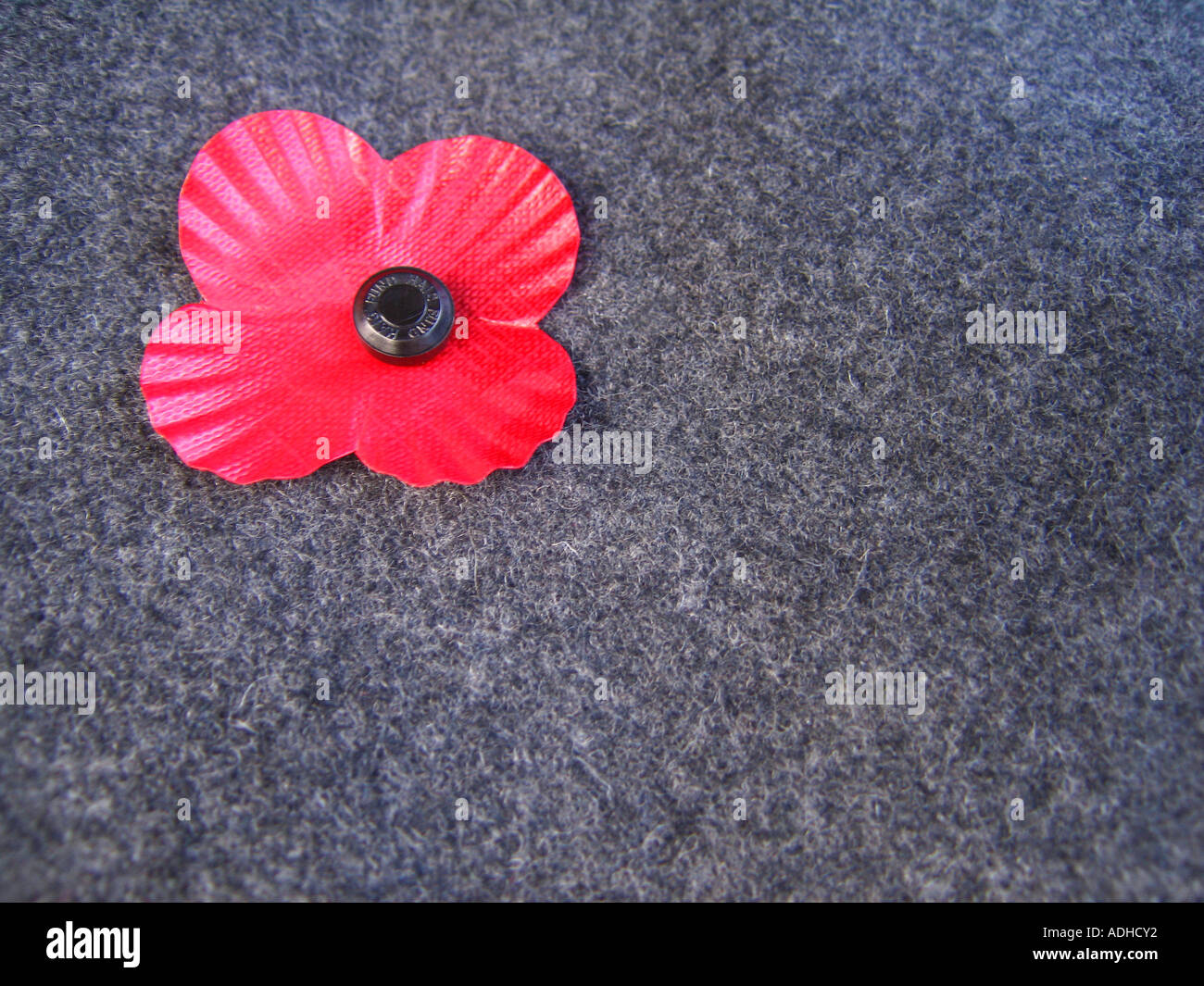 Remembrance day poppy on grey serge material Stock Photo - Alamy
