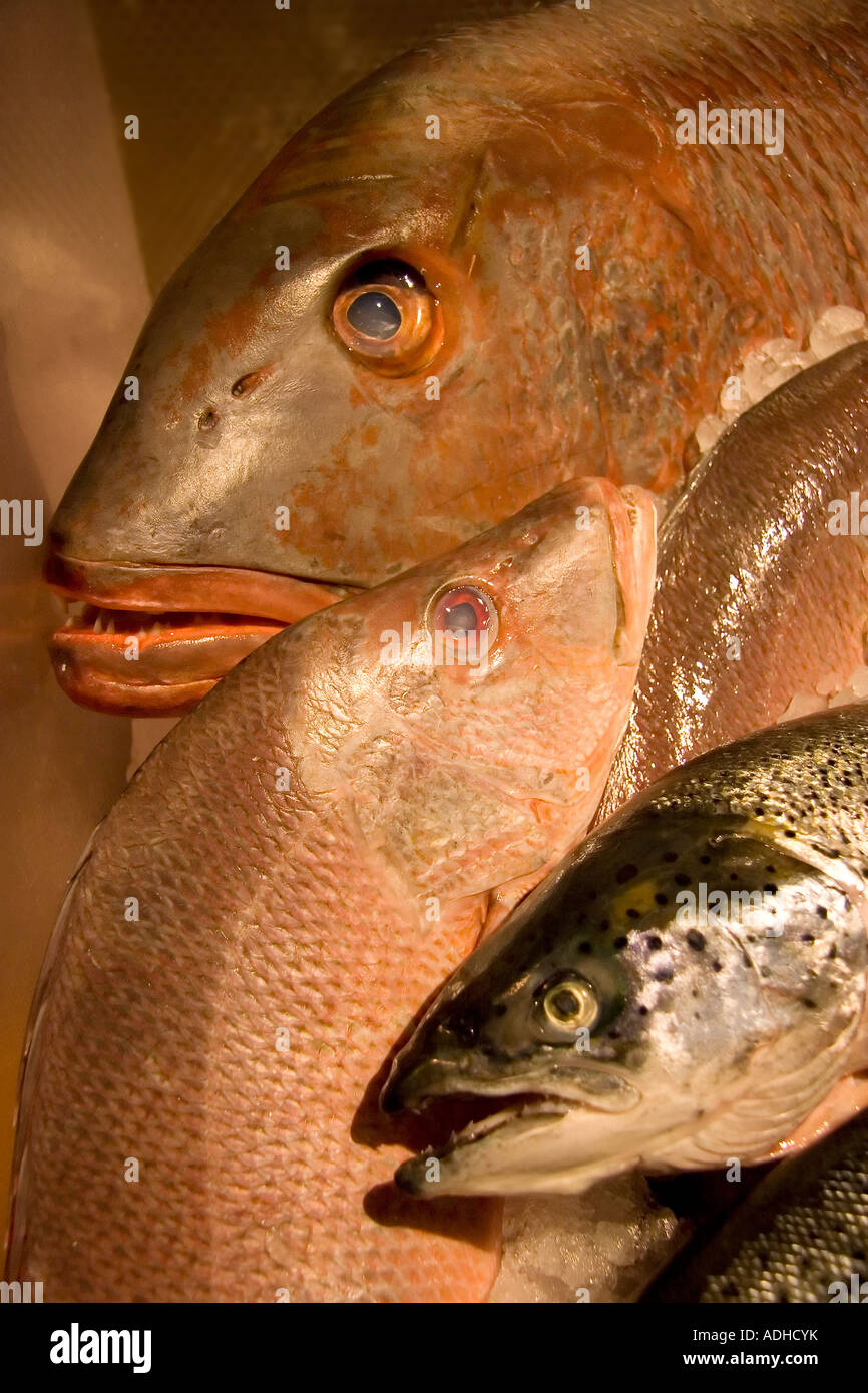 Fish lips and teeth hi-res stock photography and images - Alamy