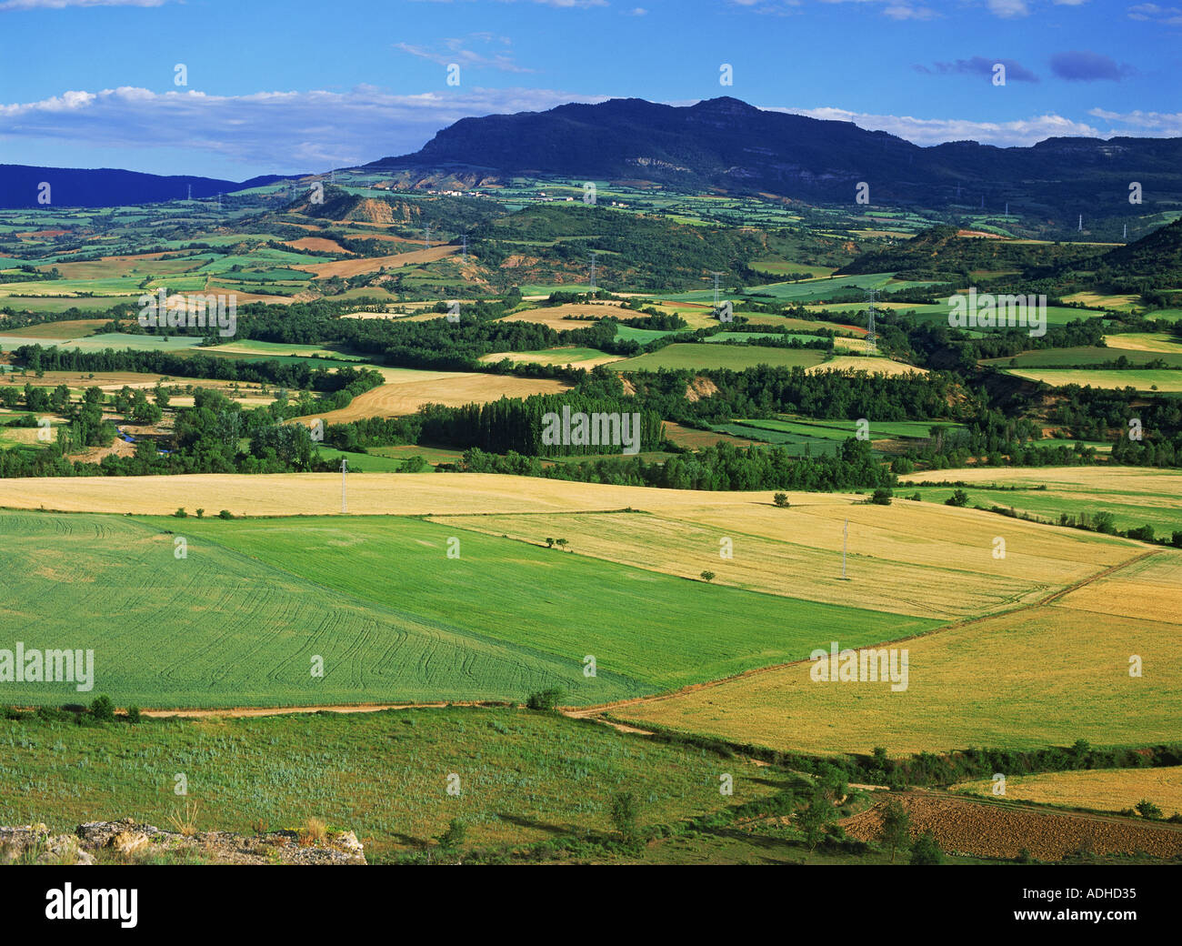 Wheat fields in Catalunya and Aragon provinces near Pyrenees in Spain ...