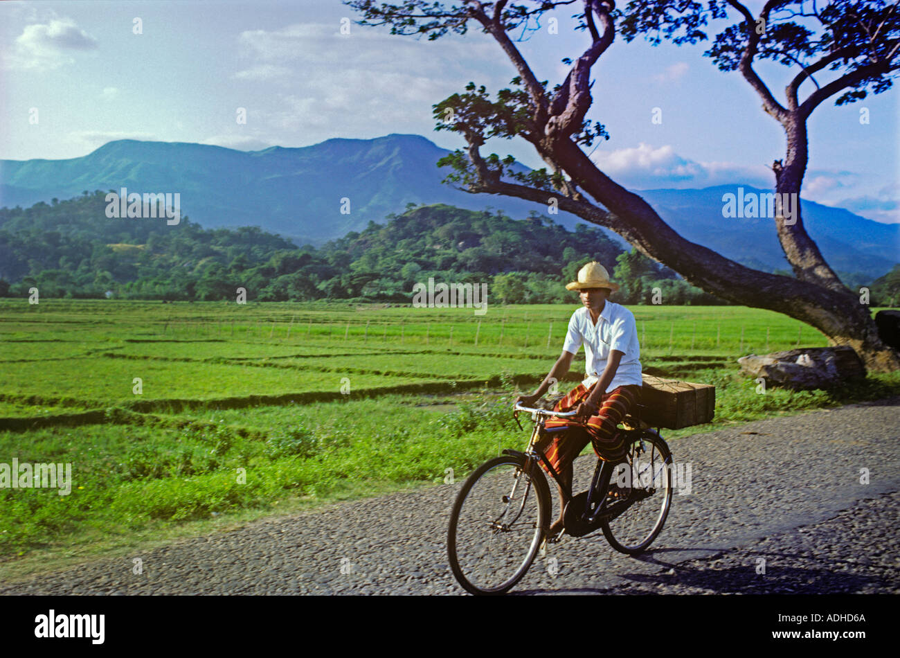 Wellawaya High Resolution Stock Photography and Images - Alamy