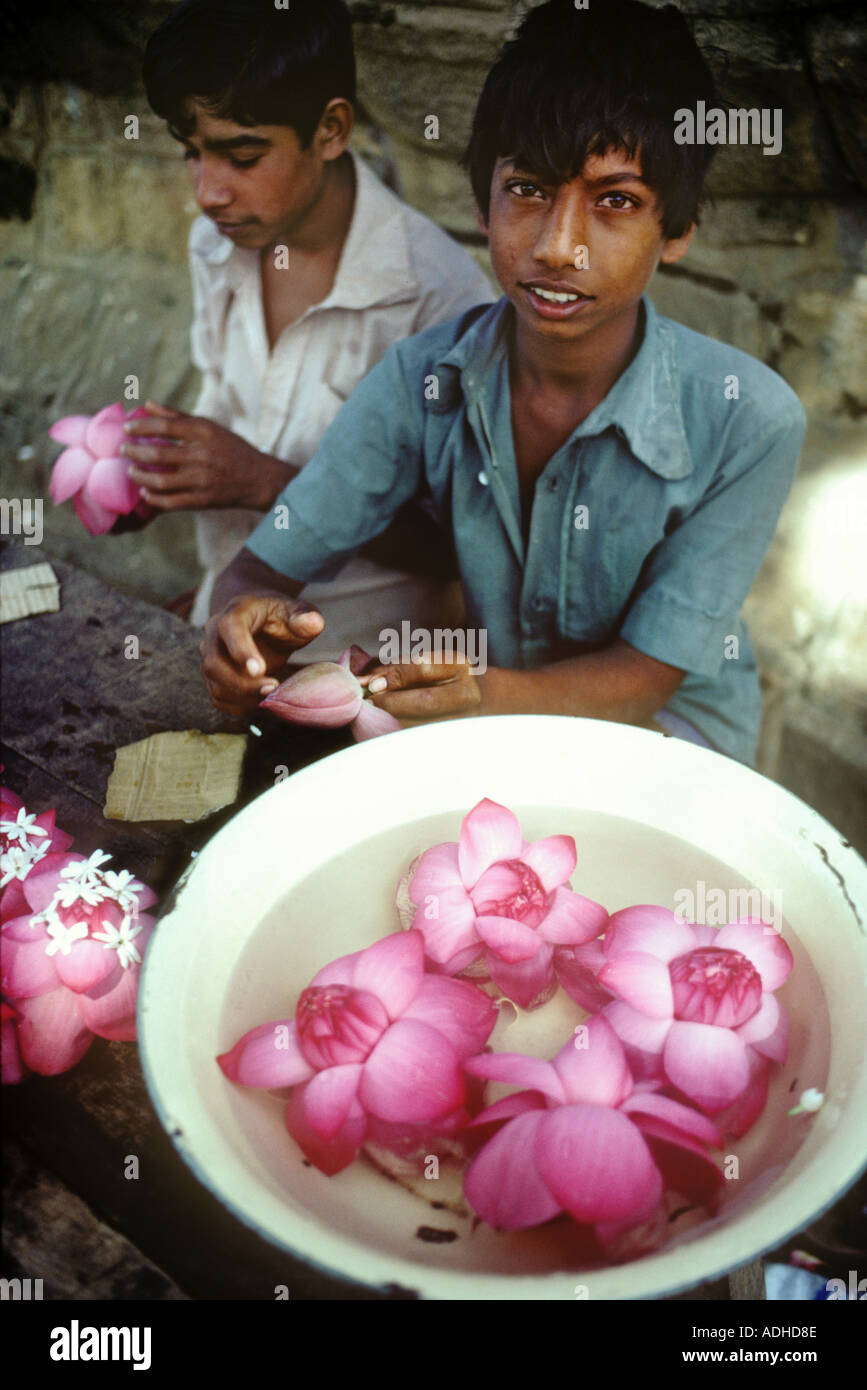 Lotus boys hi-res stock photography and images - Alamy