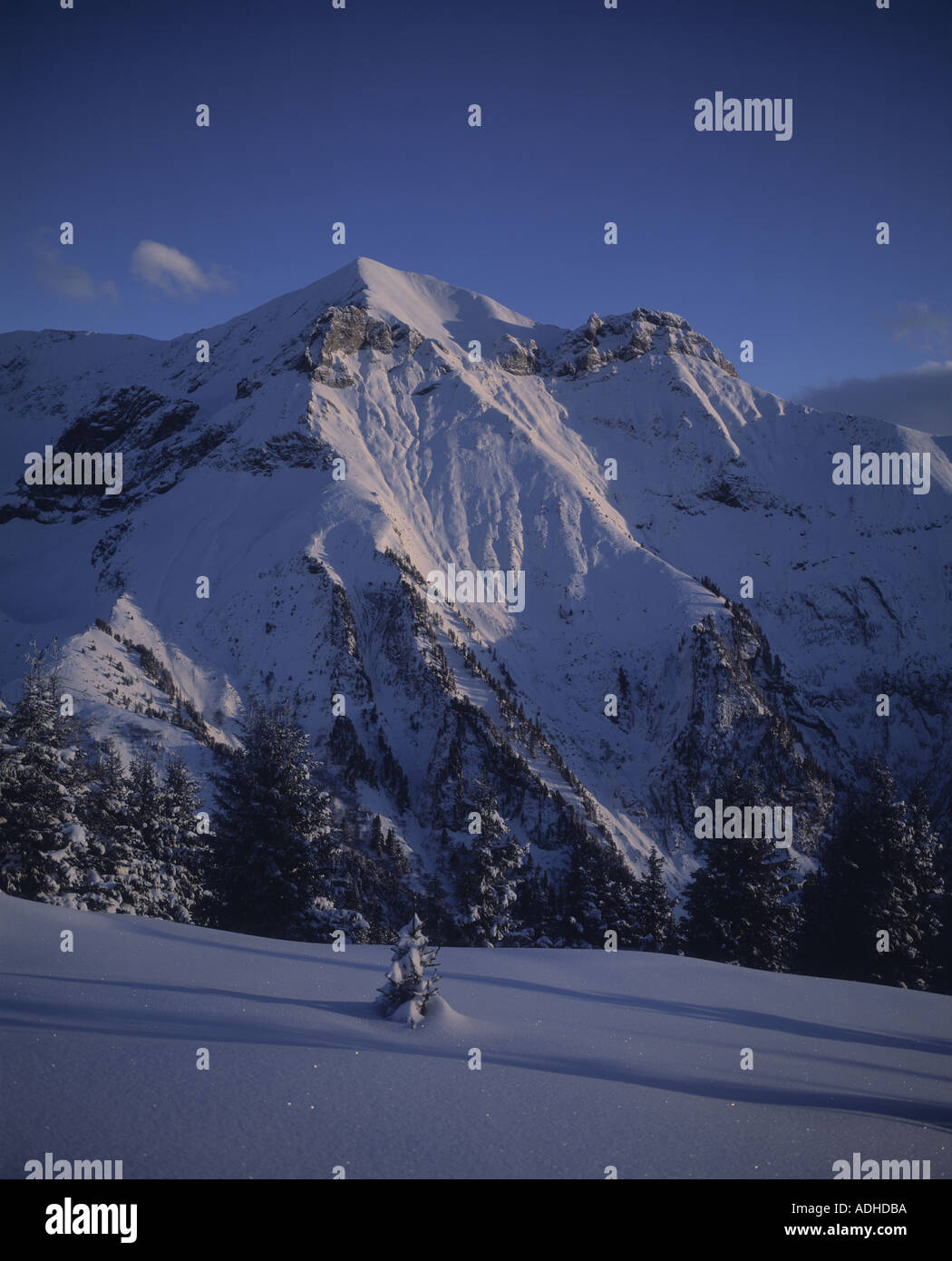 Dreispitz Mountain High Resolution Stock Photography and Images - Alamy