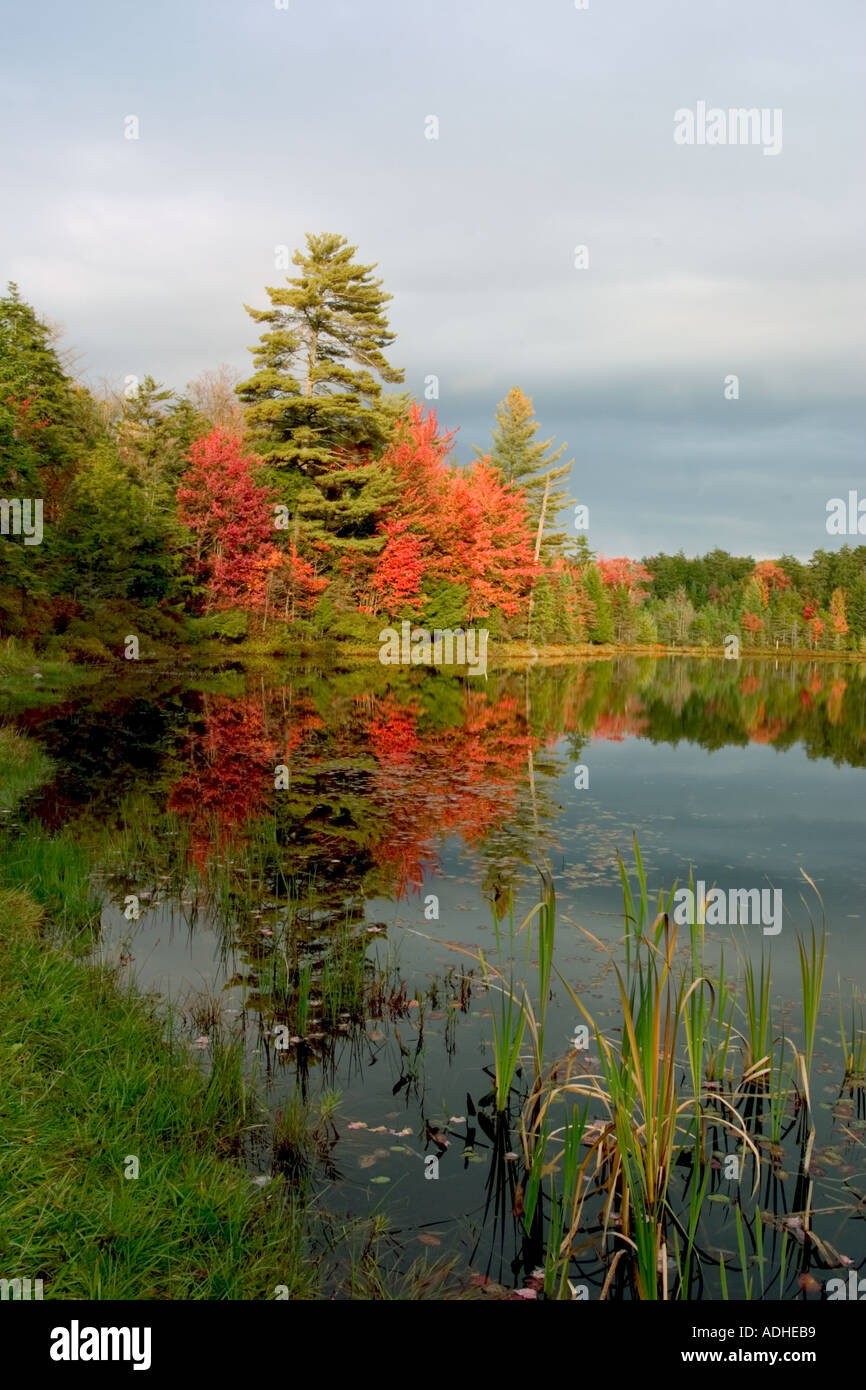 Fall foliage in the Old Forge area of the Adirondack Mountains of New ...