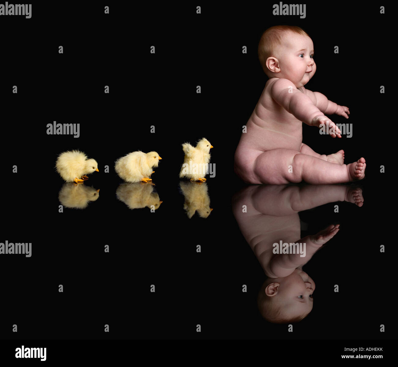 Be followed hi-res stock photography and images - Alamy