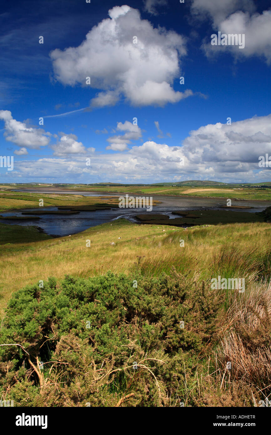 Salt marsh in County Mayo, Ireland Stock Photo - Alamy