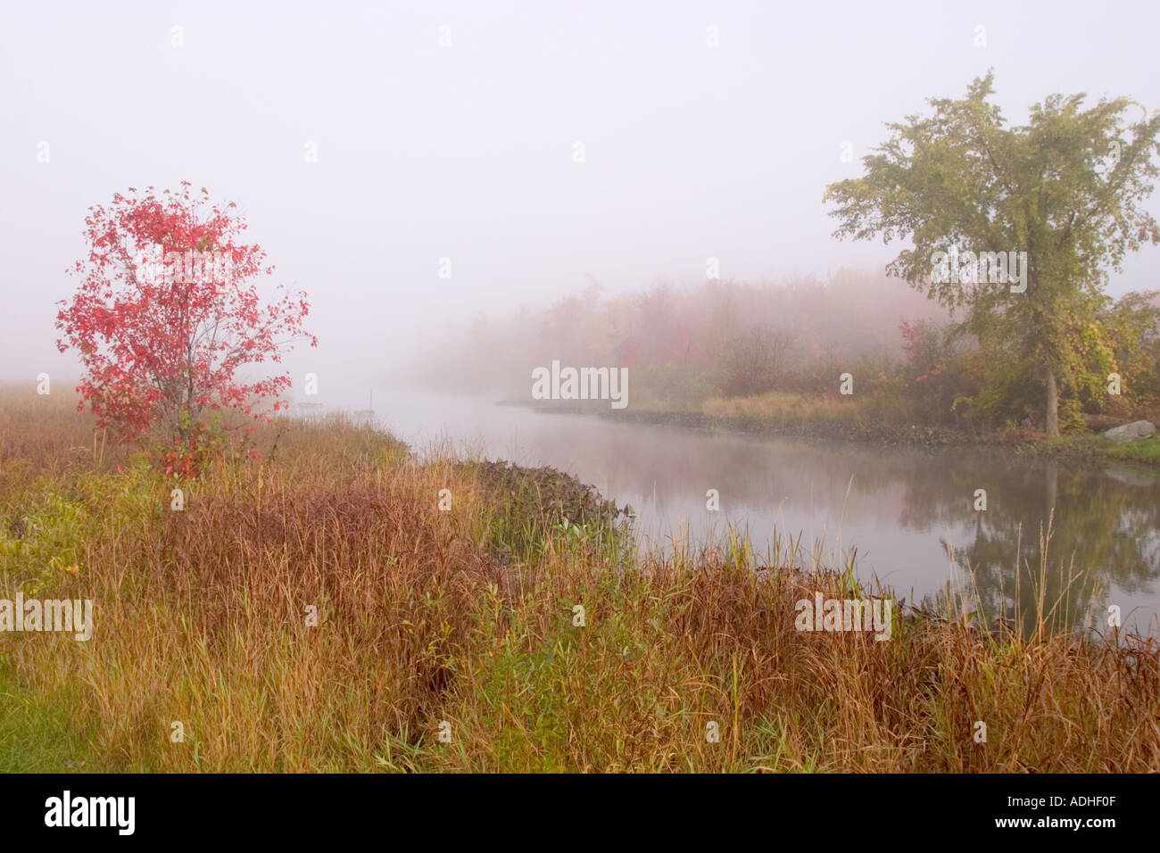 Fall color in morning fog on channel between Waneta Lake and Lamoka ...