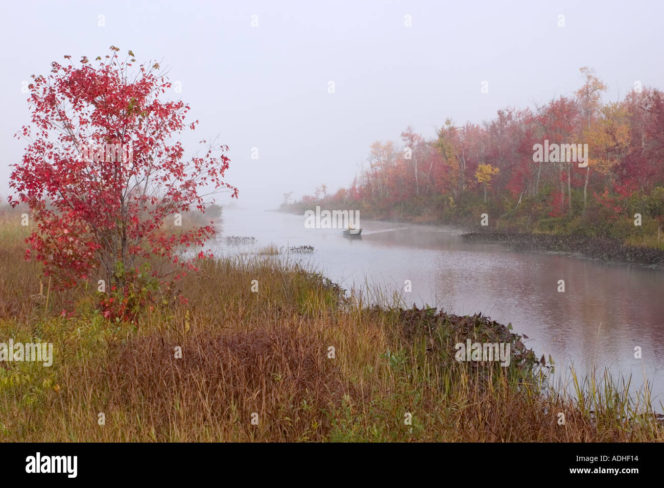 Fall color in morning fog on channel between Waneta Lake and Lamoka ...