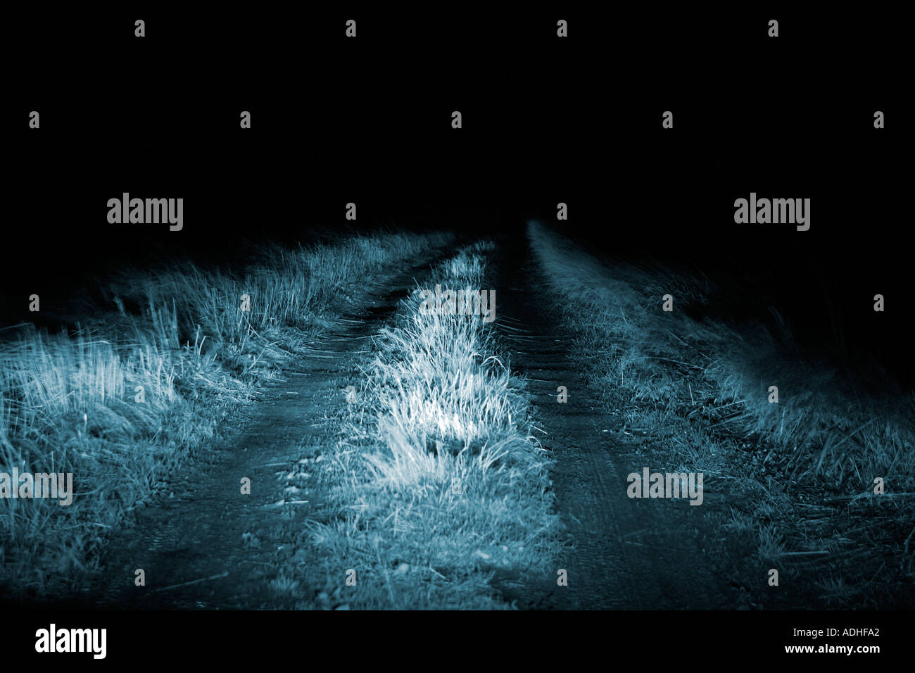 Countryside farm track illuminated in car headlights at night Stock ...