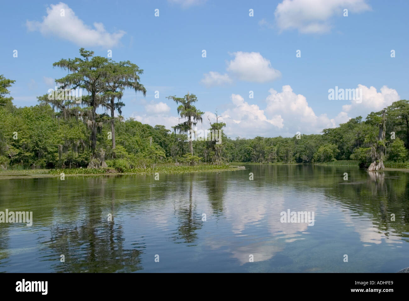 Wakulla River in Wakulla Springs State Park in the Panhandle region of ...