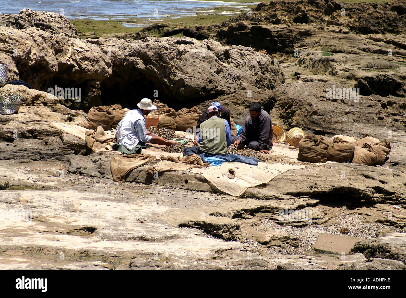 Morroco beach fish hi-res stock photography and images - Alamy