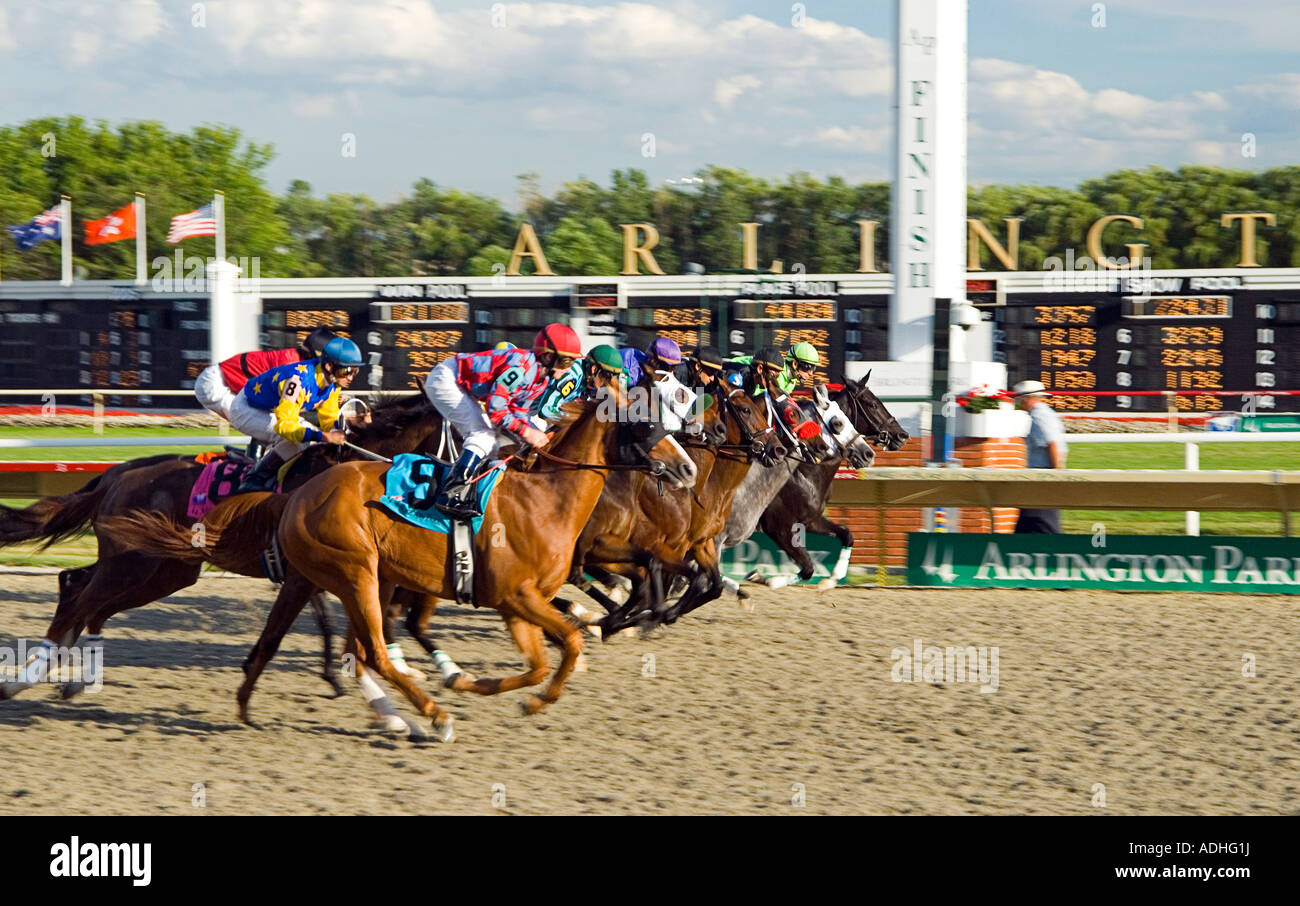 Horse Racing Field Stock Photo - Alamy