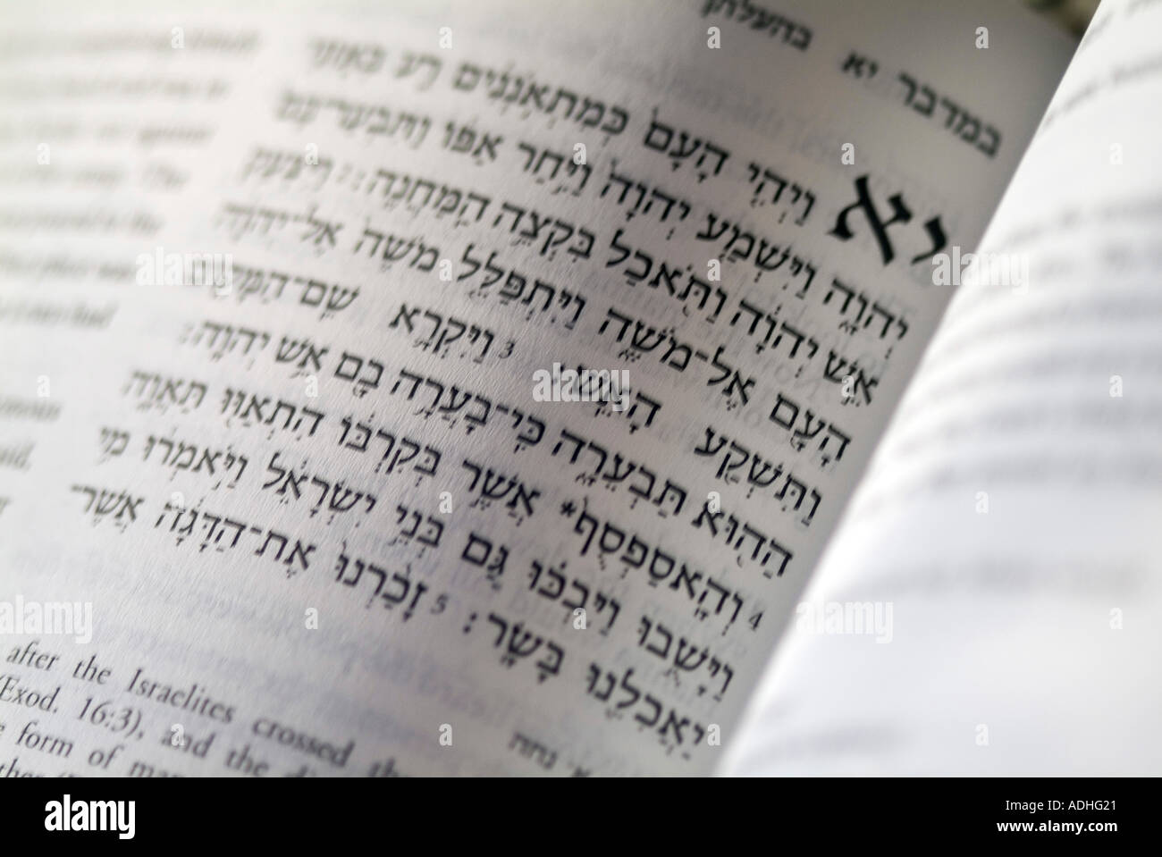 Close-up of text in the Torah Stock Photo - Alamy