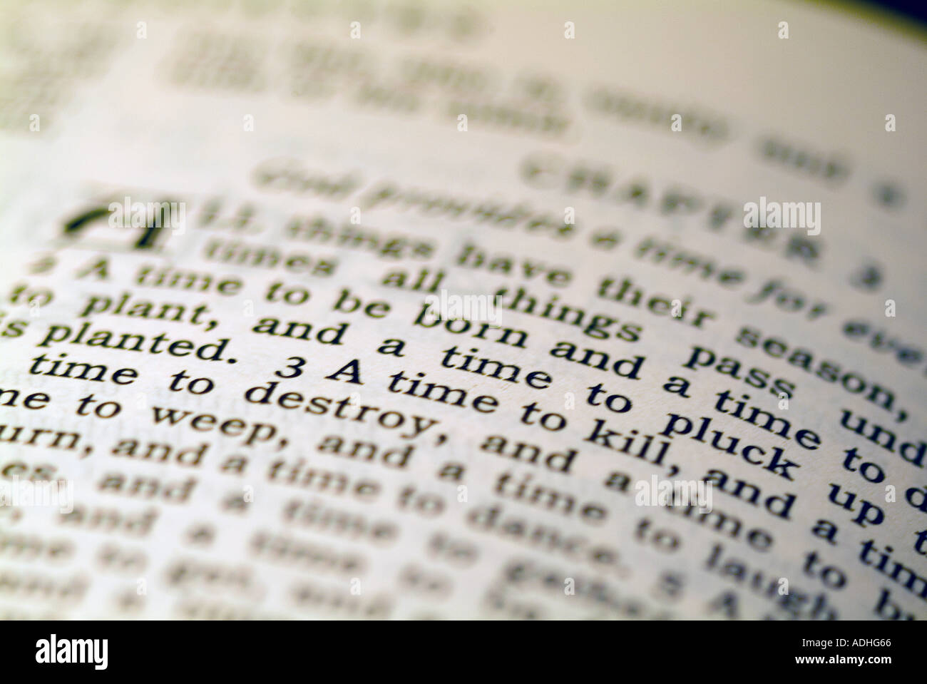 Close-up of text in the Bible Stock Photo - Alamy