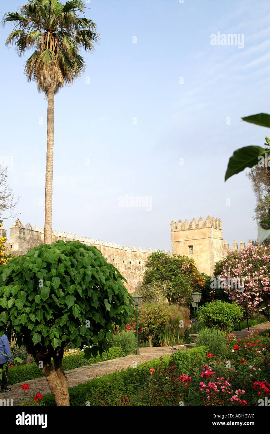Defensive city walls built by Yacoub el-Mansour 1195 of Rabat Morocco ...