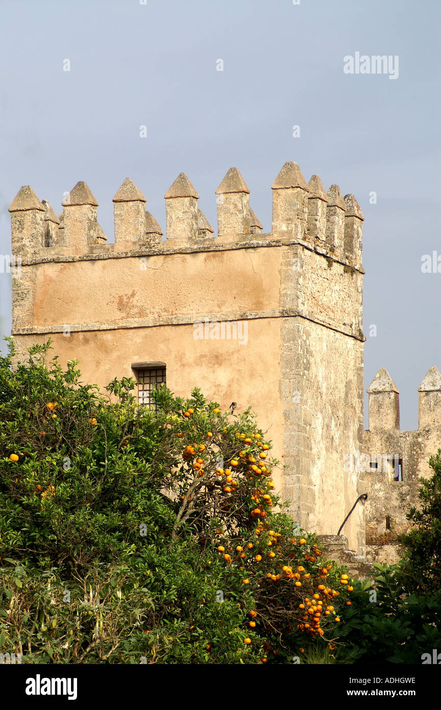 Defensive city walls built by Yacoub el-Mansour 1195 of Rabat Morocco ...