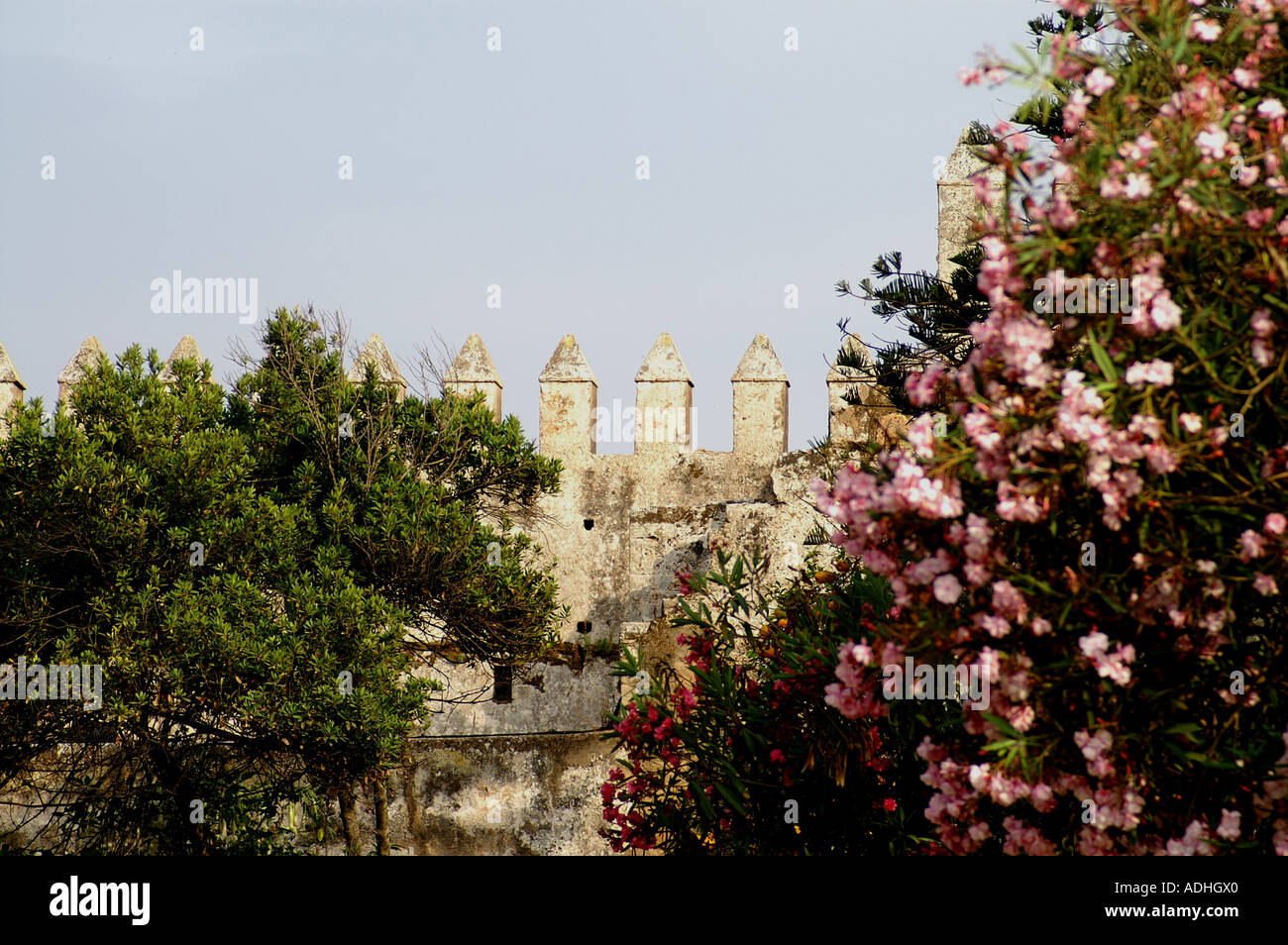 Defensive city walls built by Yacoub el-Mansour 1195 of Rabat Morocco ...