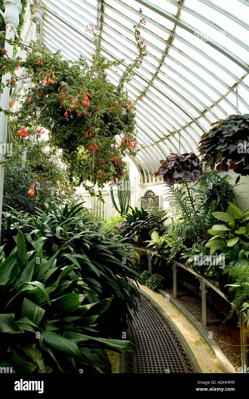 Palm House Botanic Gardens Belfast Northern Ireland Stock Photo - Alamy