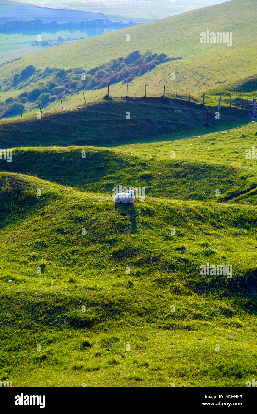 Chillerton High Resolution Stock Photography and Images - Alamy