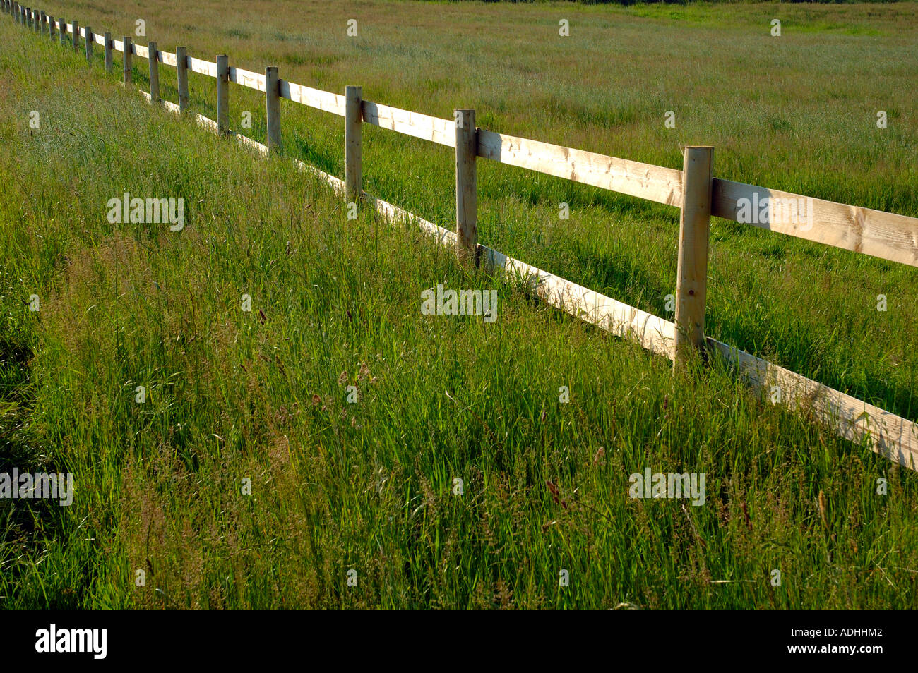 Chillerton High Resolution Stock Photography and Images - Alamy