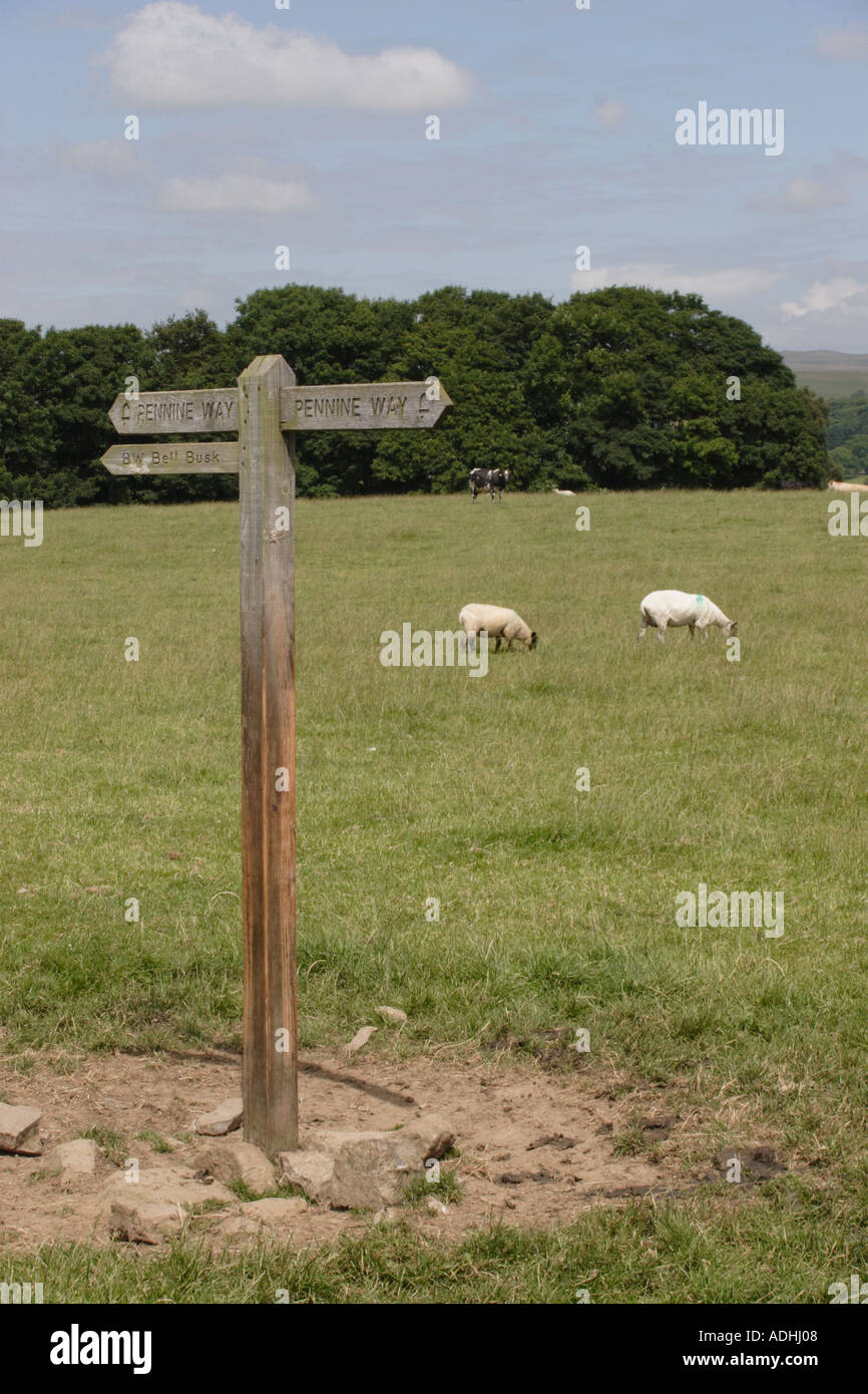 Pennine Way sign on Eshton Moor south of Malham Stock Photo - Alamy