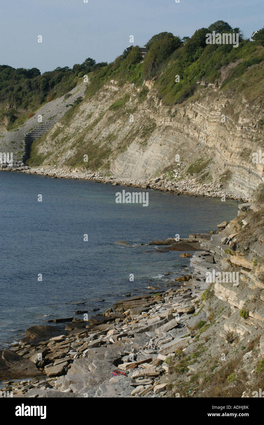 Durlston Bay, Dorset, England Stock Photo - Alamy