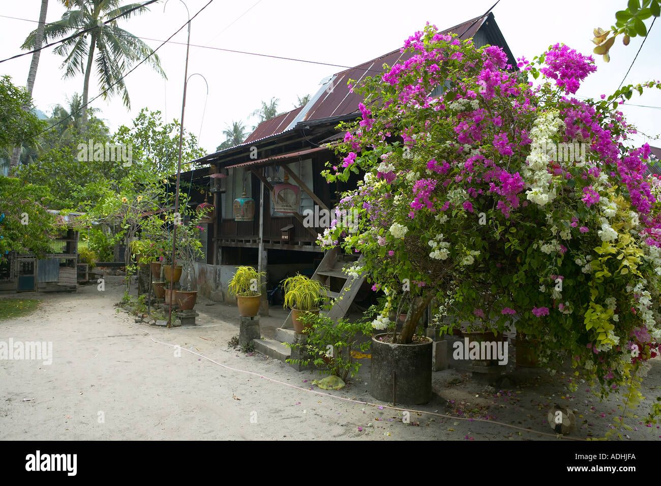 Traditional house, Penang, Malaysia Stock Photo - Alamy