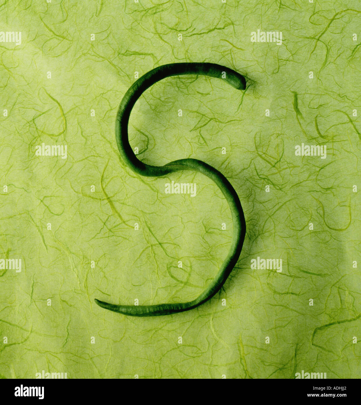 English letter s hi-res stock photography and images - Alamy