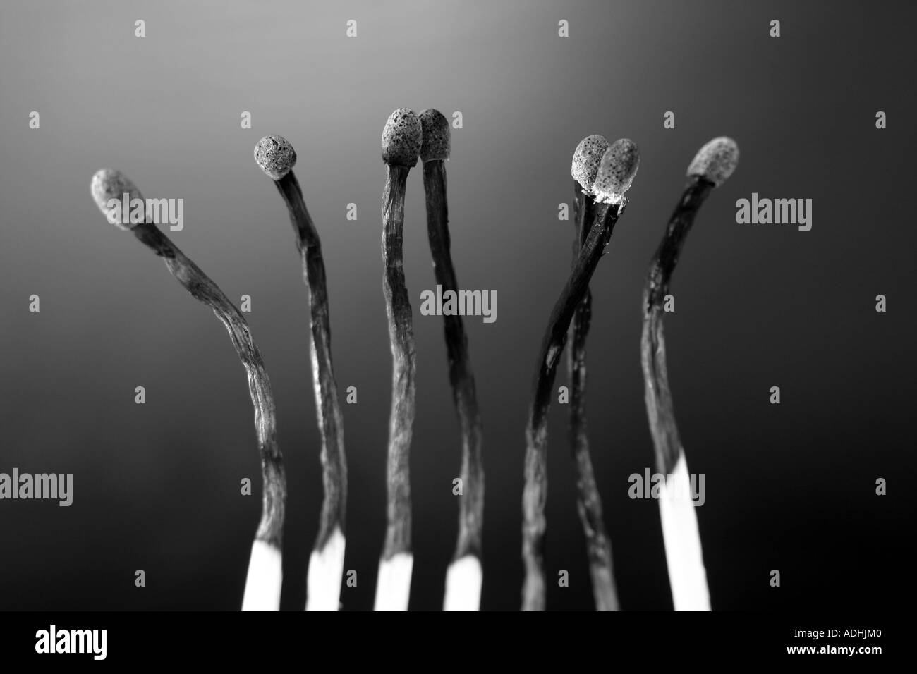 Lighters and matches hi-res stock photography and images - Alamy