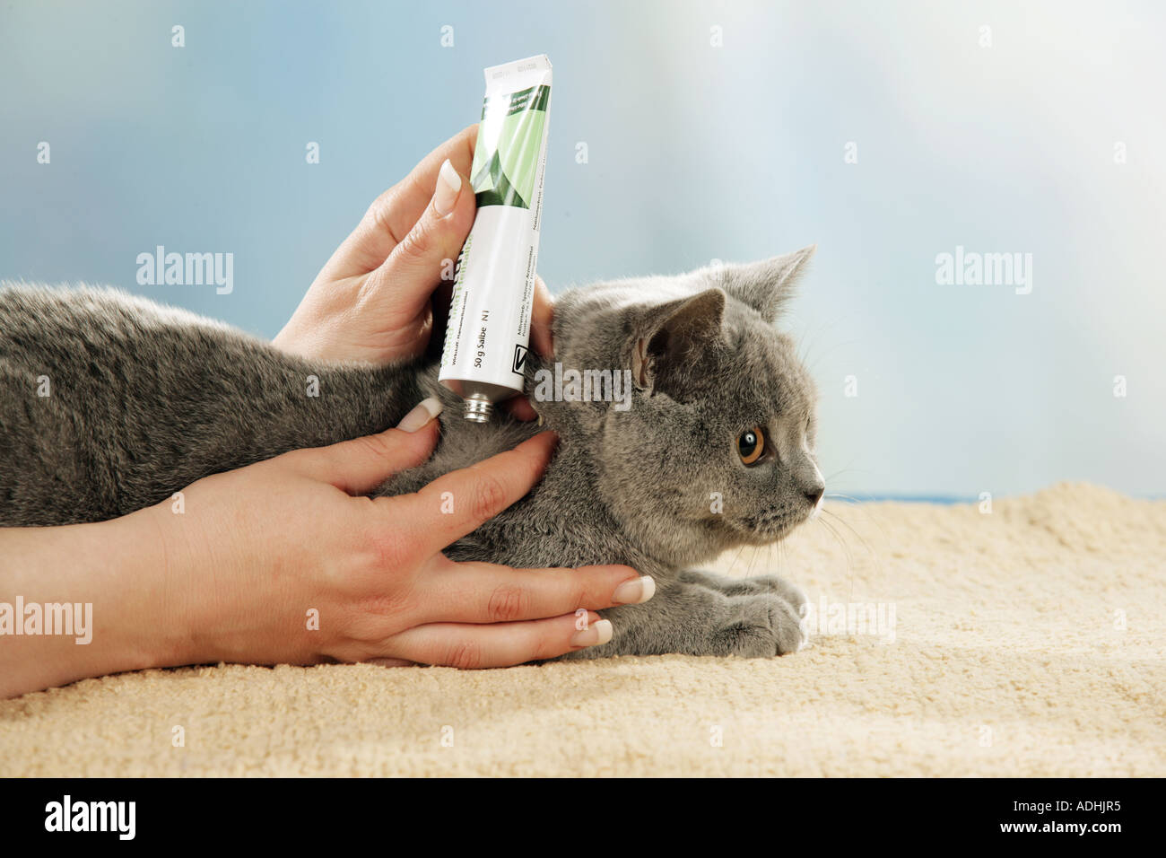 On wound hi-res stock photography and images - Alamy