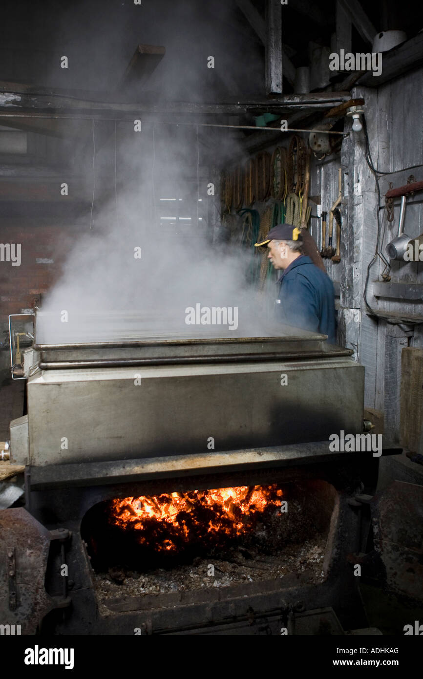 Maple Syrup Processing High Resolution Stock Photography and Images - Alamy