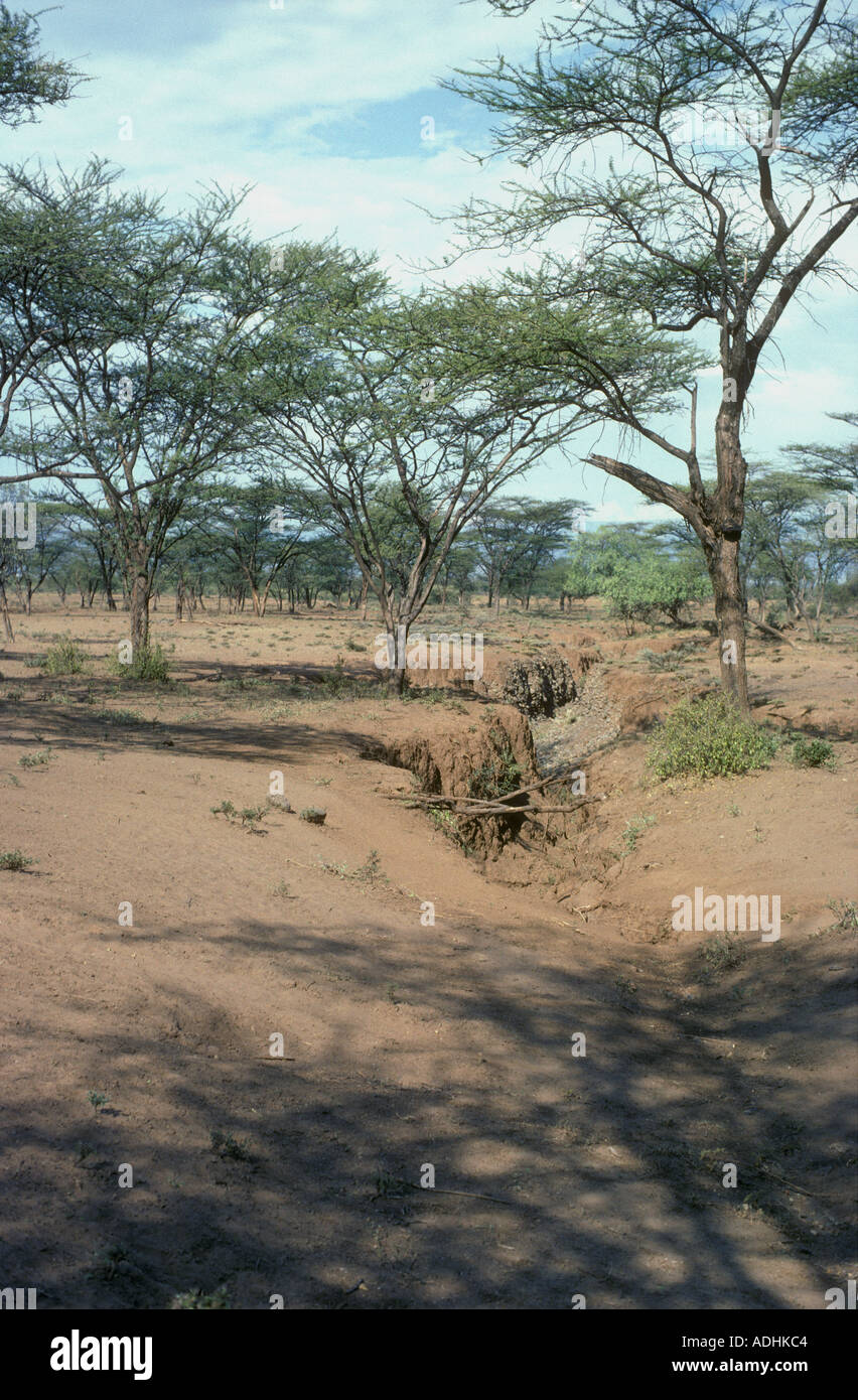 Gully erosion near Marigat Kenya East Africa Stock Photo - Alamy