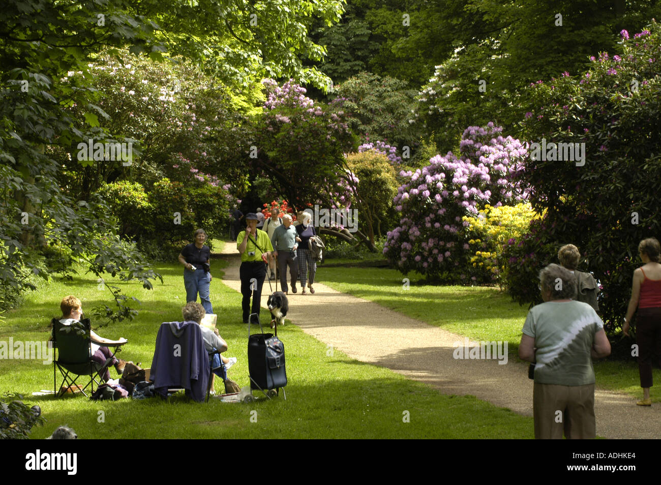 People enjoying the sun in Sheringham Park Norfolk Stock Photo - Alamy