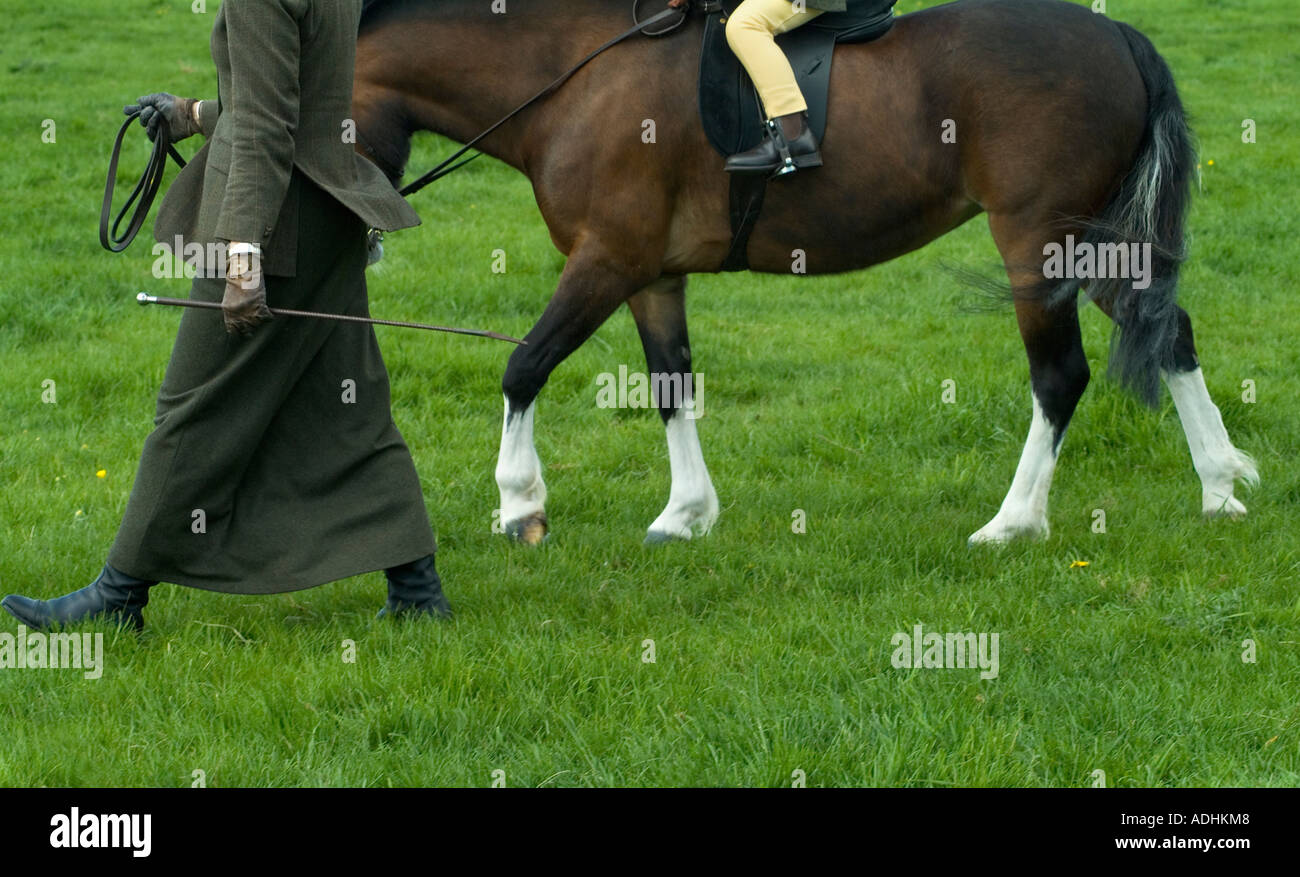 Woman holding riding crop hi-res stock photography and images - Alamy