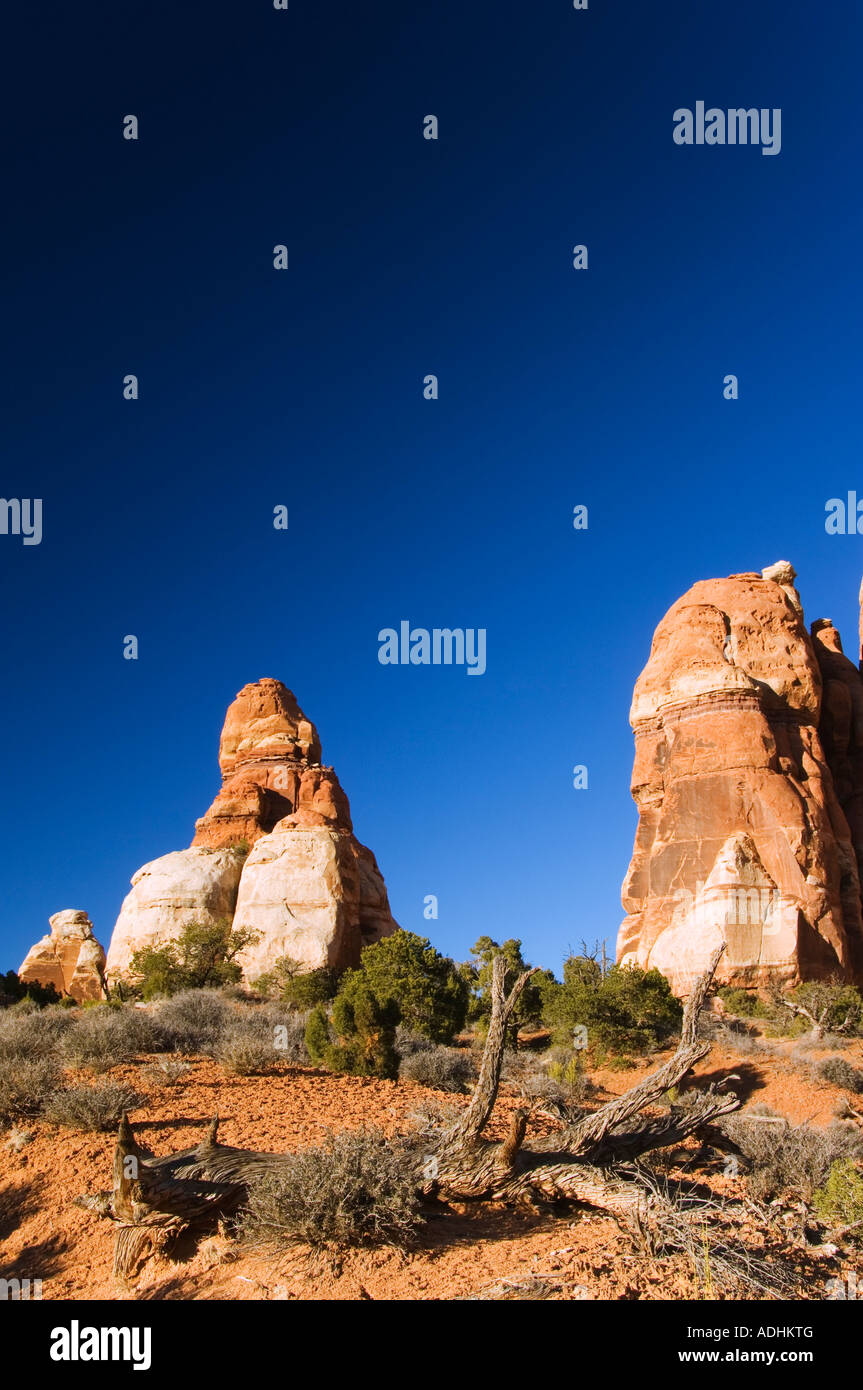 USA Utah Canyonlands National Park Cedar Mesa Sandstone Spires in the ...