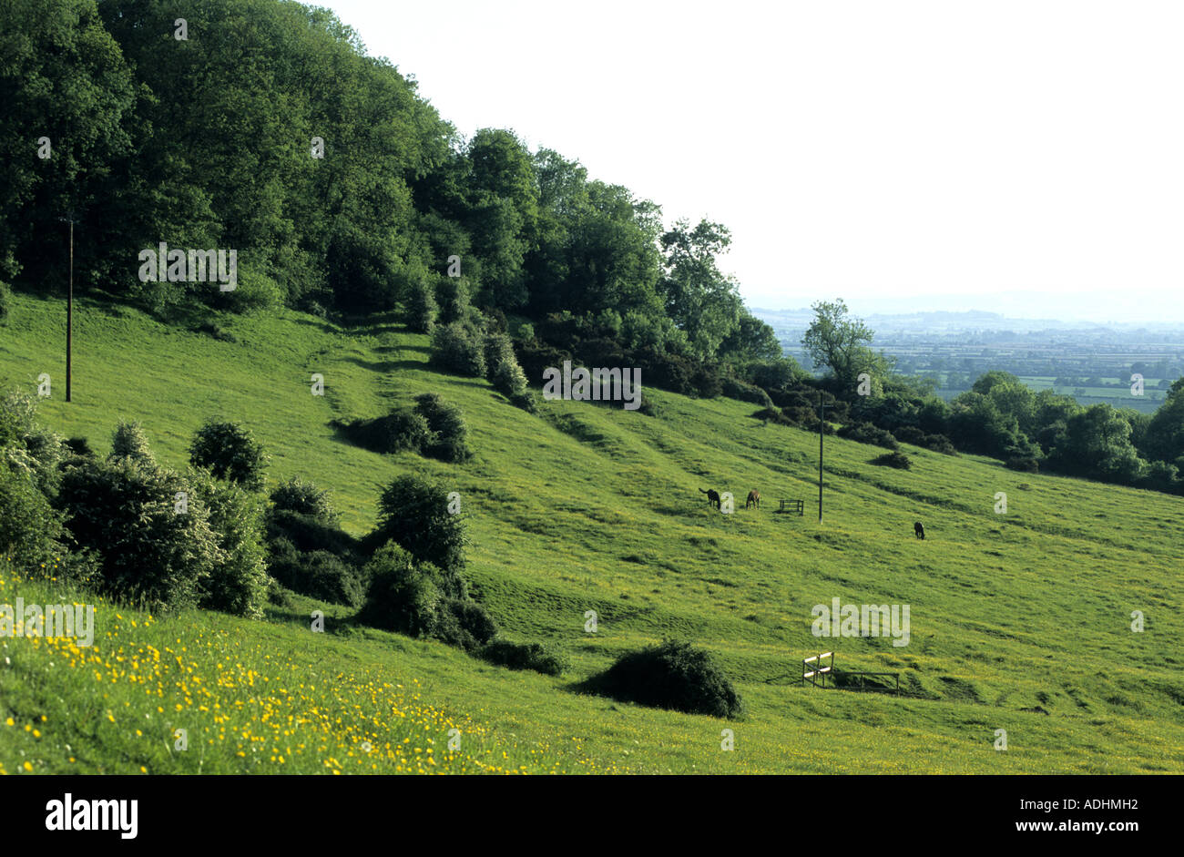 Edge hill warwickshire hi-res stock photography and images - Alamy