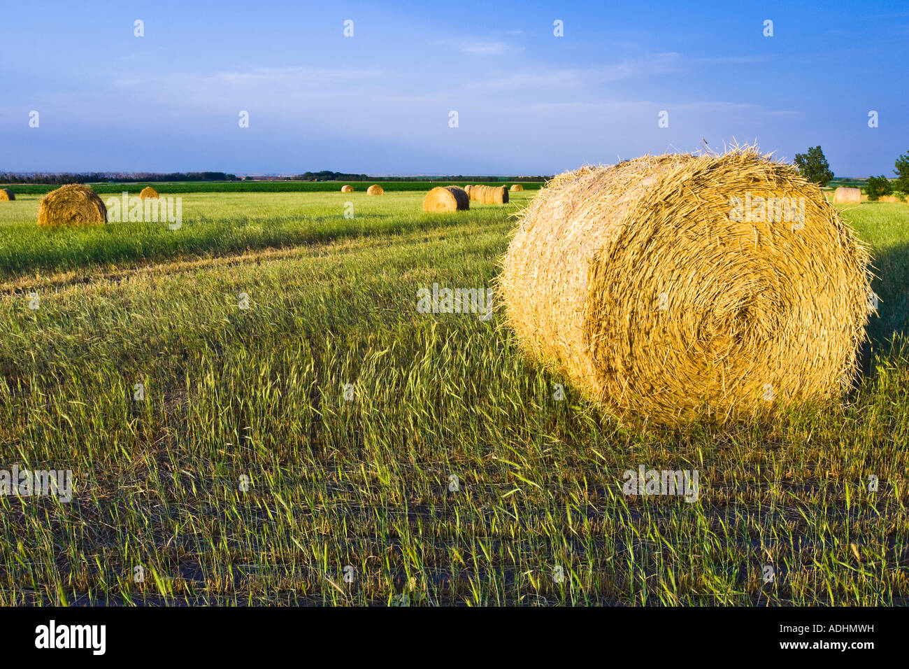 Farm landscape in Nebraska Stock Photo - Alamy