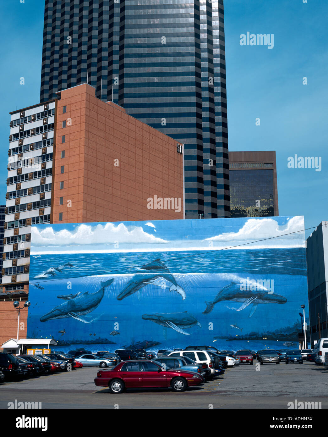 Dallas Texas Usa Downtown Whale Mural Stock Photo Alamy